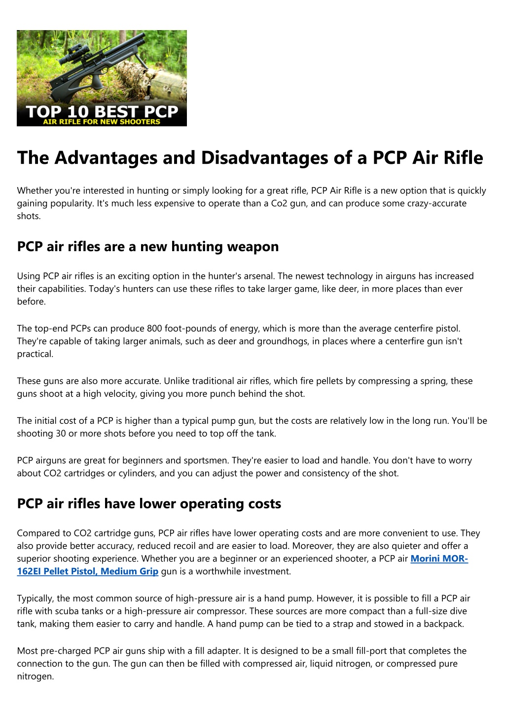 PPT - The Ultimate Guide to Ataman AP16 Pellet Pistol, Silver ...
