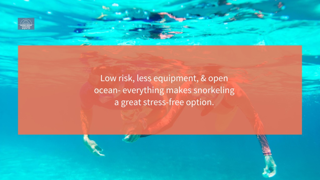 PPT - The Health Advantages Of Snorkeling While On A Cruise PowerPoint ...