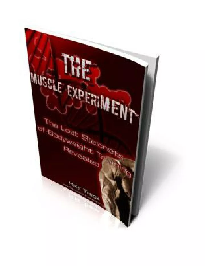 PPT - The Muscle Experiment™ PDF eBook Download Free PowerPoint ...