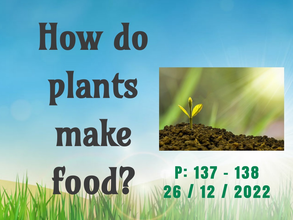 PPT - needs of plant PowerPoint Presentation, free download - ID:11843851
