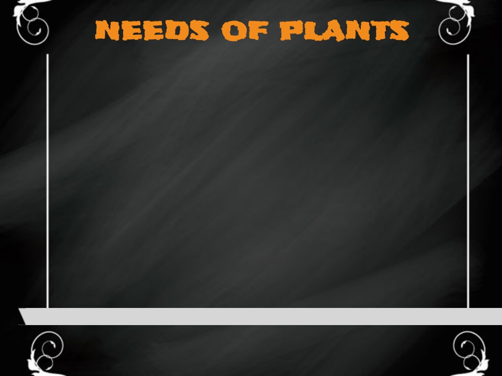 PPT - needs of plant PowerPoint Presentation, free download - ID:11843851