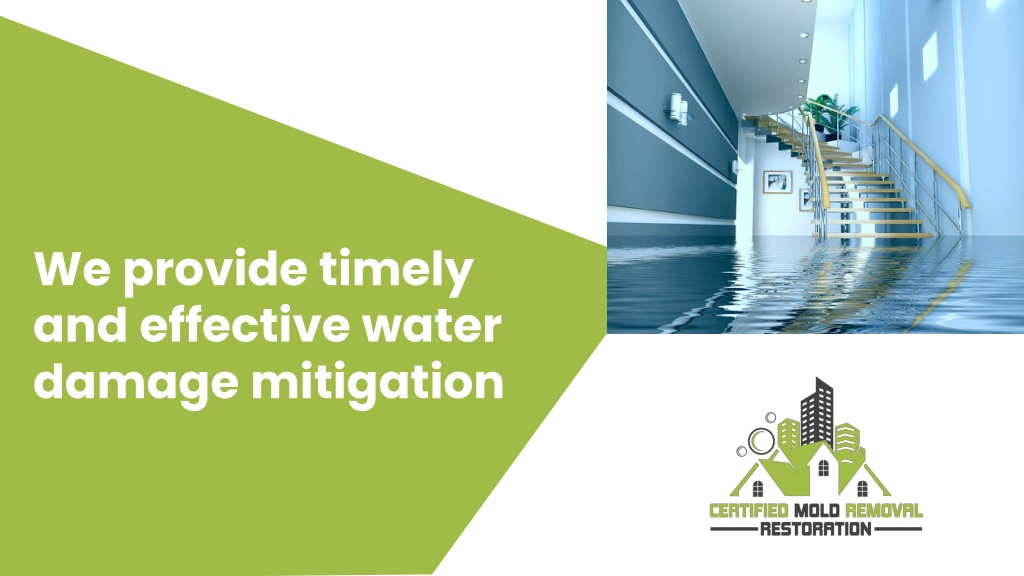 PPT - Professional Water And Moisture Damage Mitigation Service PowerPoint Presentation - ID ...