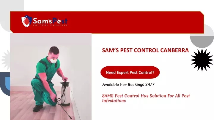 PPT - Sams Pest Control Canberra PowerPoint Presentation, free download ...
