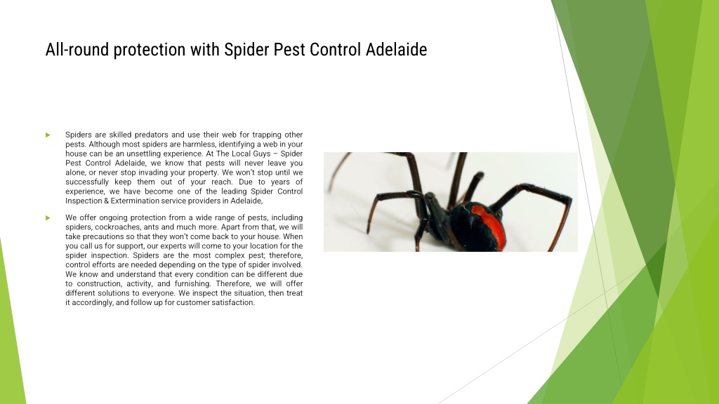 PPT - Pest Control Melbourne Northern Suburbs | Thelocalguyspestcontrol ...
