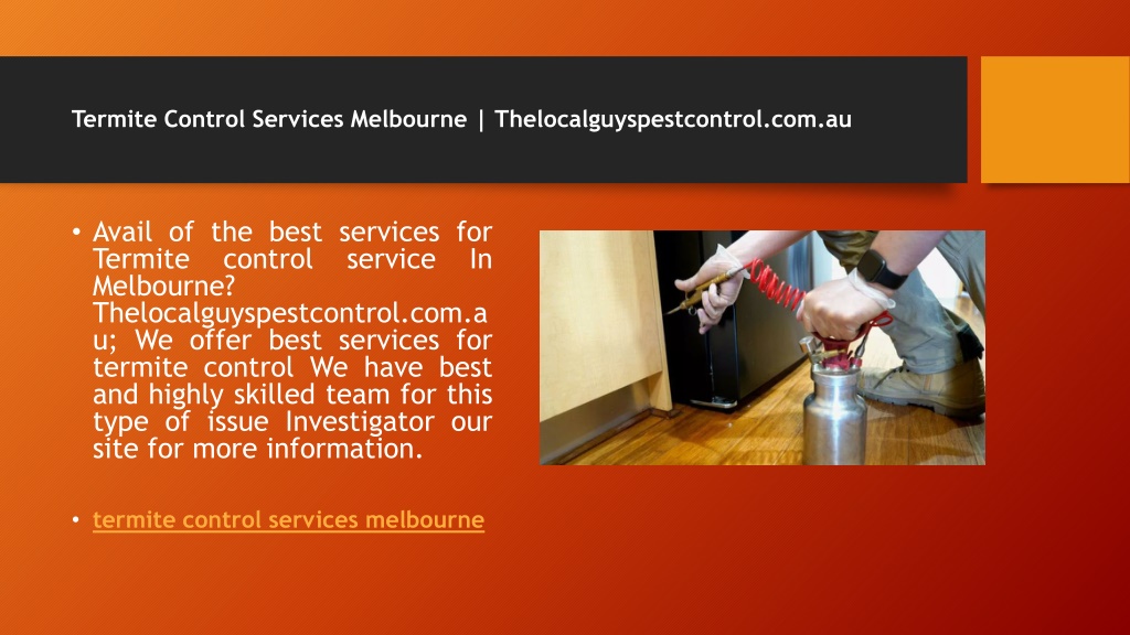 PPT - Termite Control Melbourne | Thelocalguyspestcontrol.com.au PowerPoint Presentation - ID ...