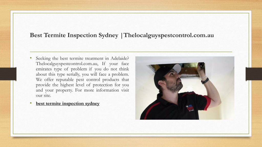 PPT - Best Termite Inspection Sydney |Thelocalguyspestcontrol.com.au ...