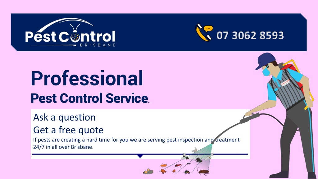 PPT - Pest Control Brisbane PowerPoint Presentation, free download - ID ...