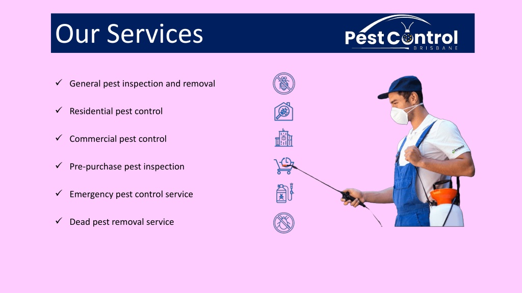 Ppt Pest Control Brisbane Powerpoint Presentation Free Download Id