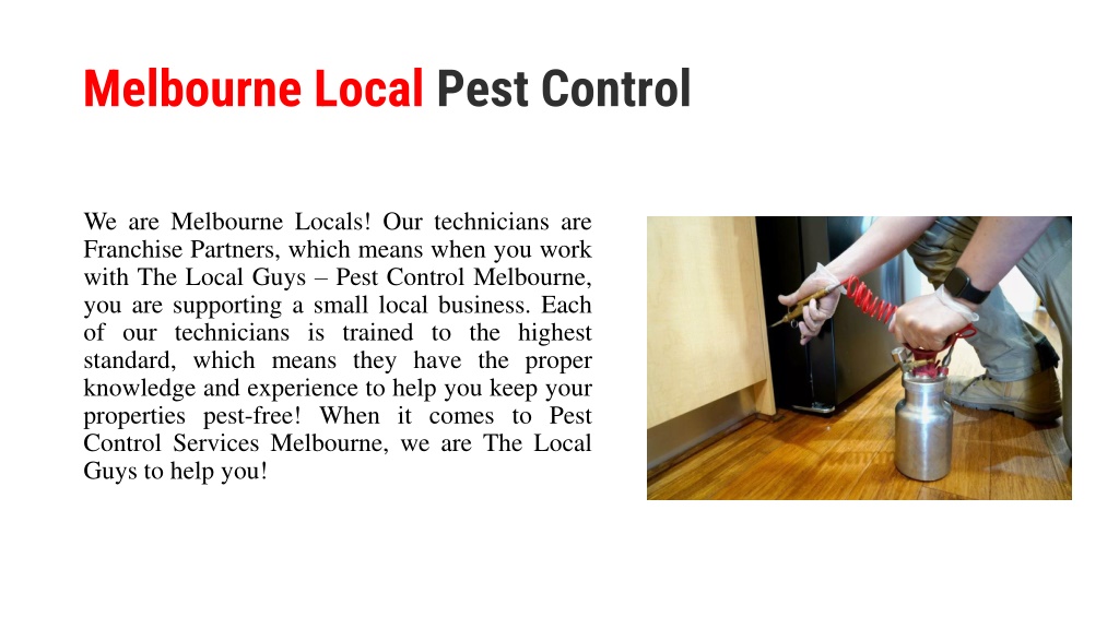 PPT - Pest Control Adelaide | Thelocalguyspestcontrol.com.au PowerPoint ...