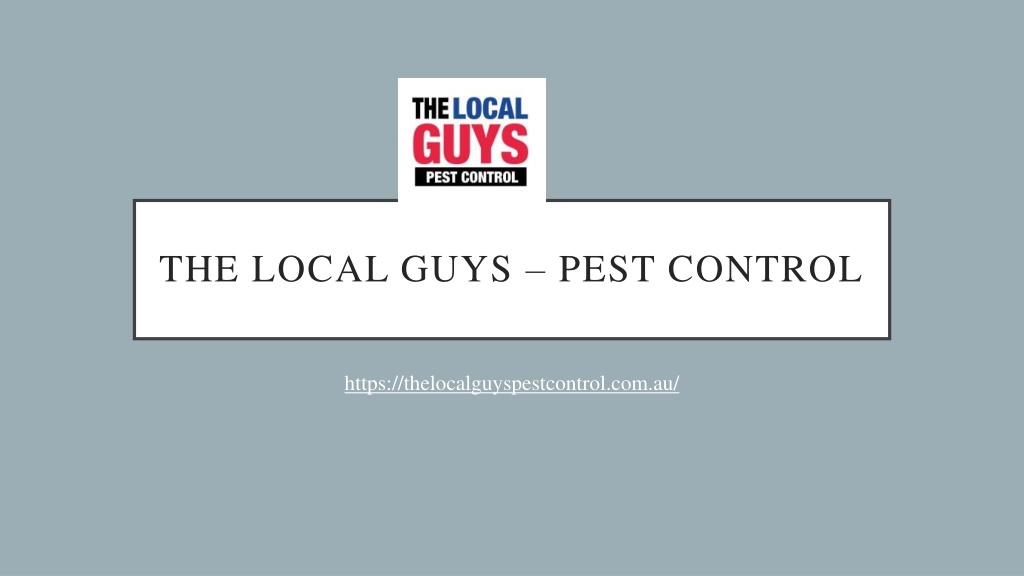 PPT - Pest Control Brisbane | Thelocalguyspestcontrol.com.au PowerPoint ...