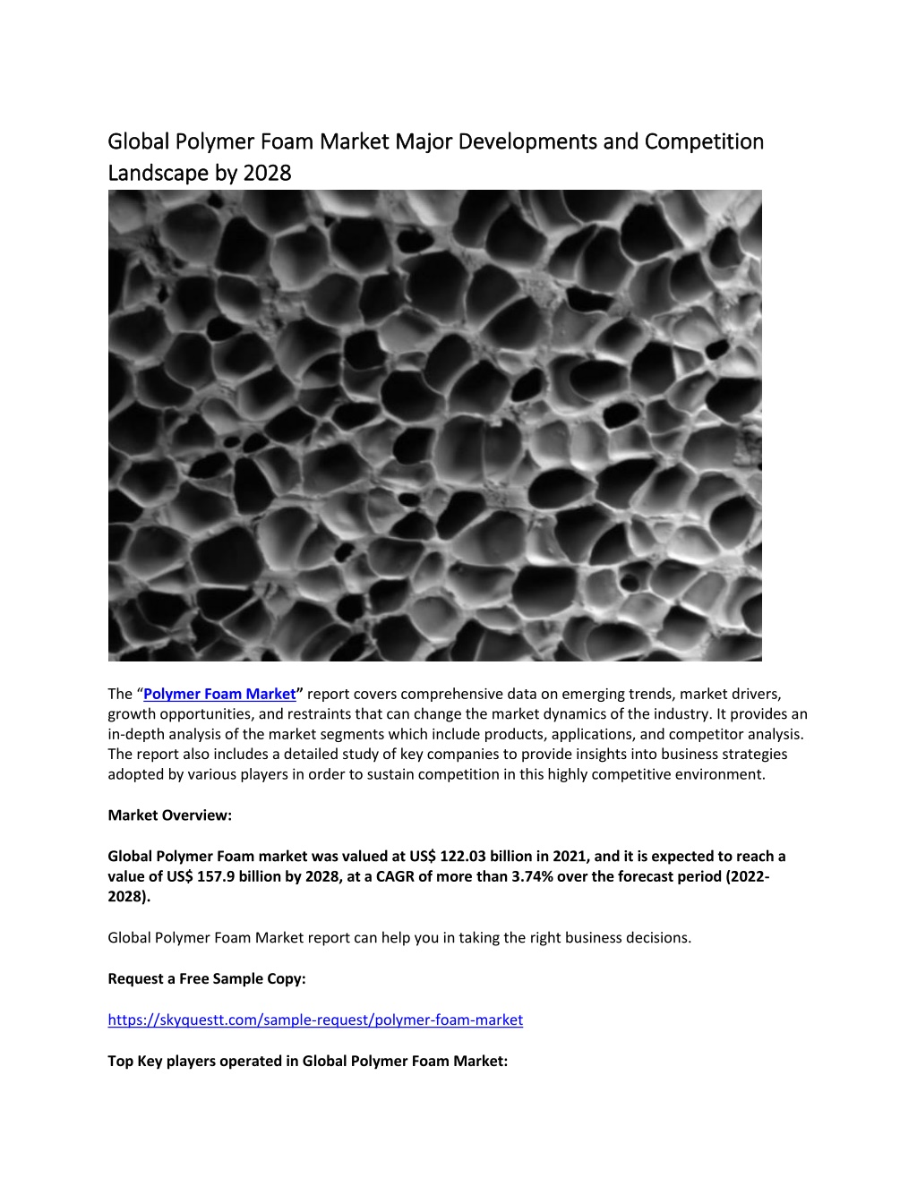 PPT - Global Polymer Foam Market Major Developments and Competition Landscape by 2028 PowerPoint ...