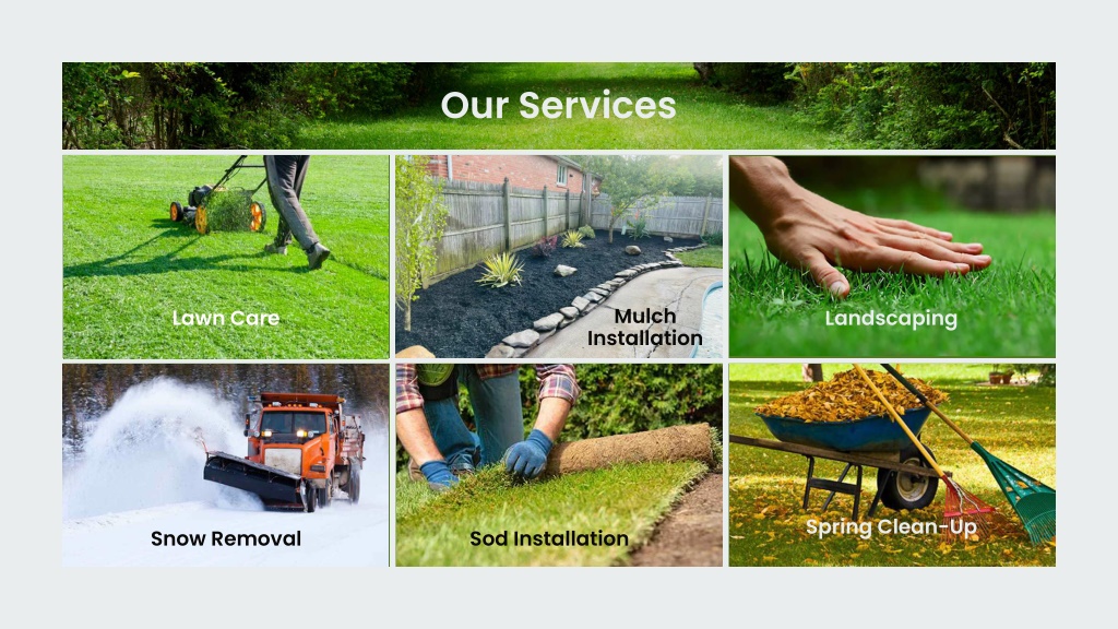 PPT - Landscaping And Maintenance Service in Clarence. PowerPoint ...