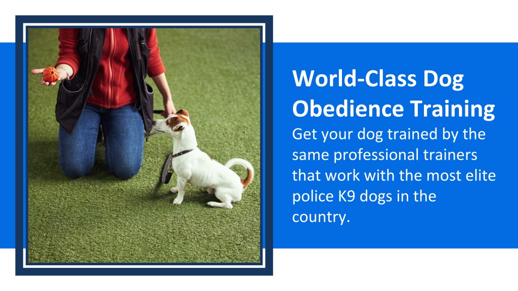 PPT - World-Class Dog Obedience Training in Flower Mound, TX PowerPoint ...
