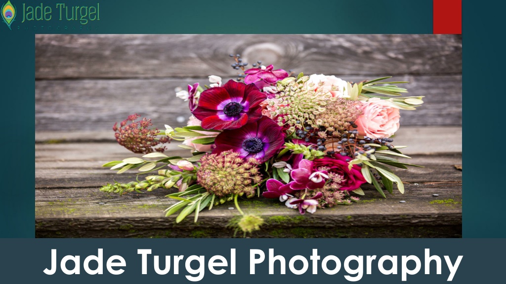 PPT - Professional Family Photography Service In California PowerPoint ...