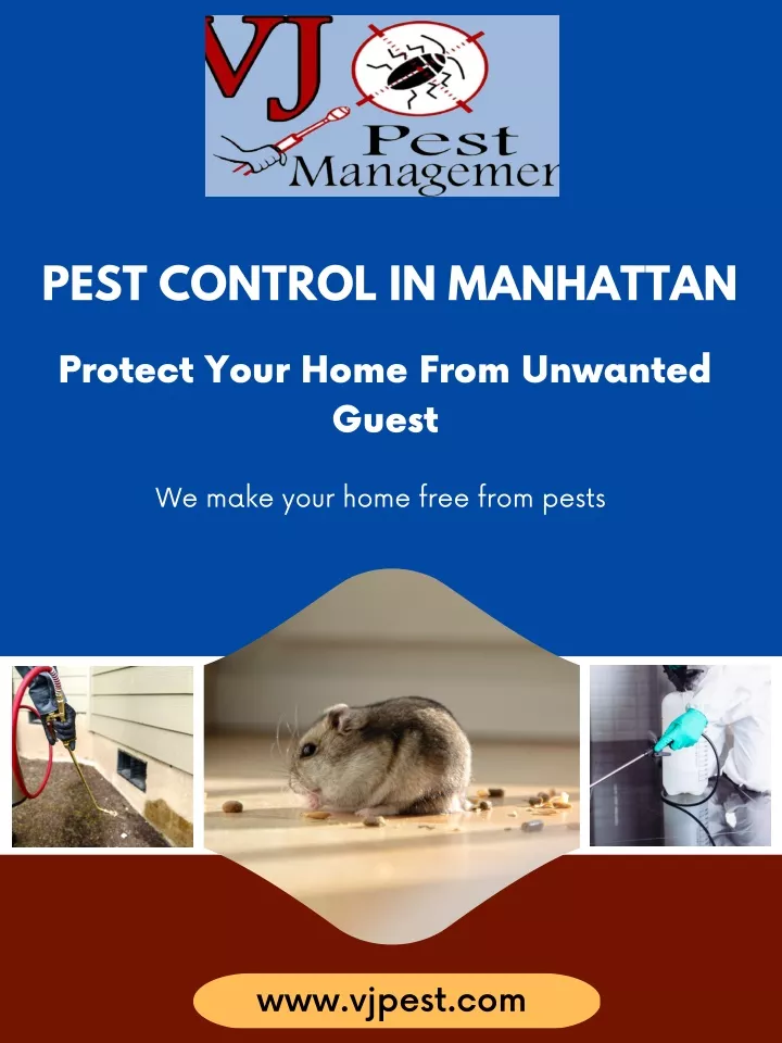 PPT - Residential Pest Control In Manhattan | VJ Pest Management ...