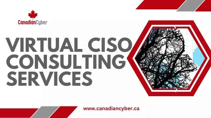 PPT - Best Virtual CISO Consulting Services in Canadian Cyber ...