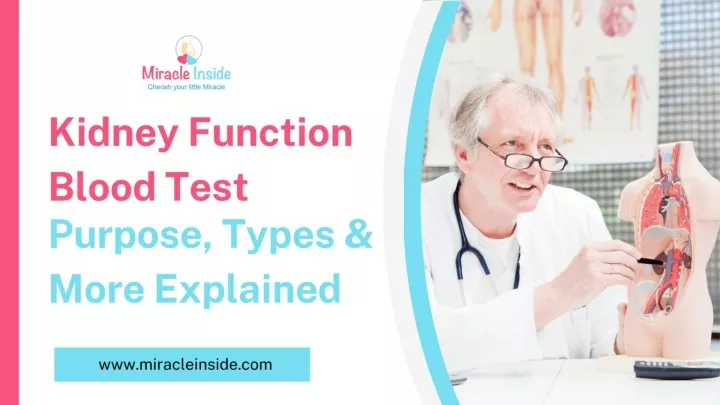 PPT - Kidney Function Blood Test - Purpose, Types & More Explained ...
