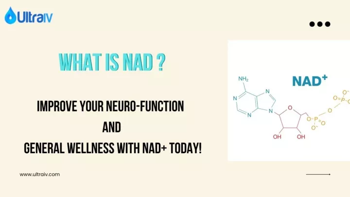 PPT - What is NAD? PowerPoint Presentation, free download - ID:11894580