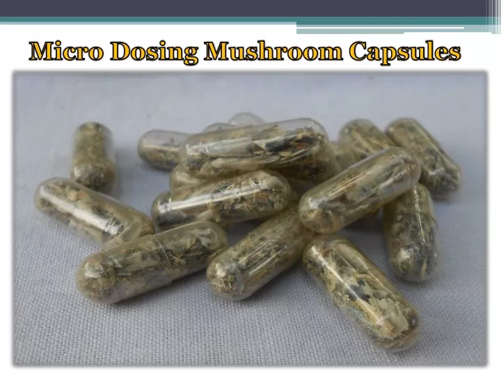 PPT - Micro Dosing Mushroom Capsules PowerPoint Presentation, free ...
