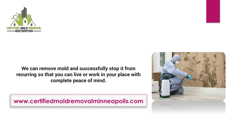 PPT - Professional Mold Removal & Remediation PowerPoint Presentation ...