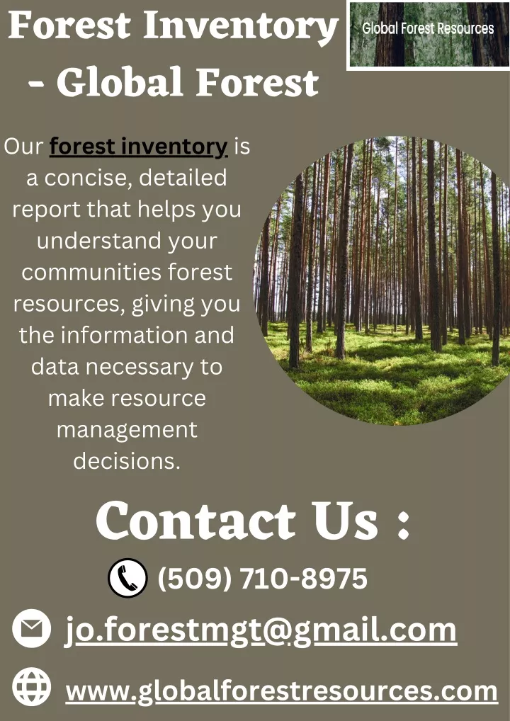 PPT - Forest Inventory - Global Forest PowerPoint Presentation, free ...