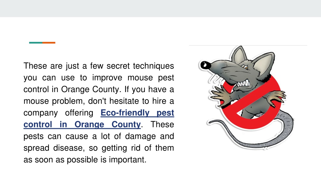 PPT - 3 Secret Techniques to Improve Mouse Pest Control Orange County ...