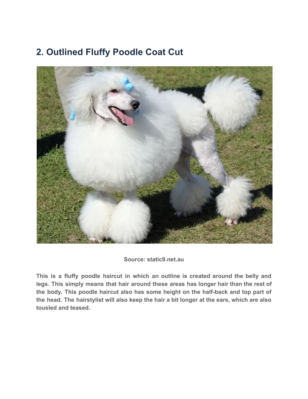 PPT - 20 Cute & Adorable Poodle Haircut Ideas to Try Right Now ...