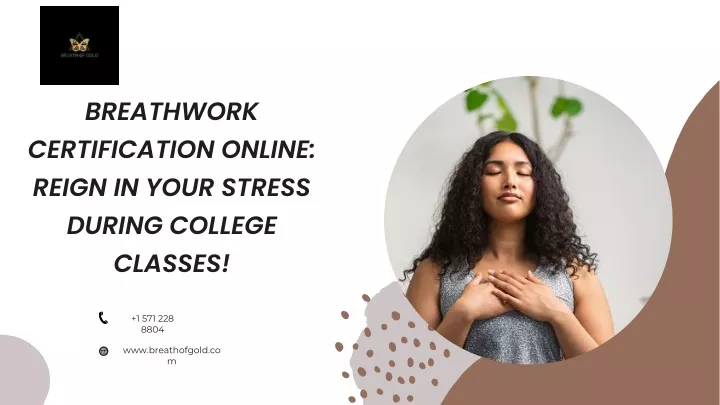 PPT - Breathwork Certification Online Reign in Your Stress During ...