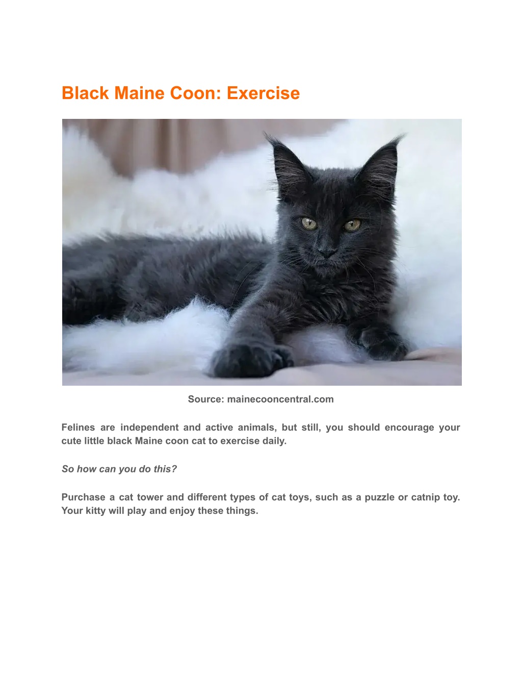 PPT - Black Maine Coon An Exotic & Rare Cat Breed Guide PowerPoint ...