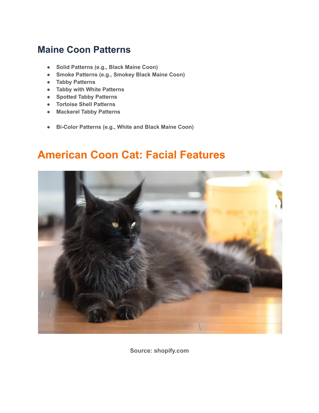 PPT - Black Maine Coon An Exotic & Rare Cat Breed Guide PowerPoint ...