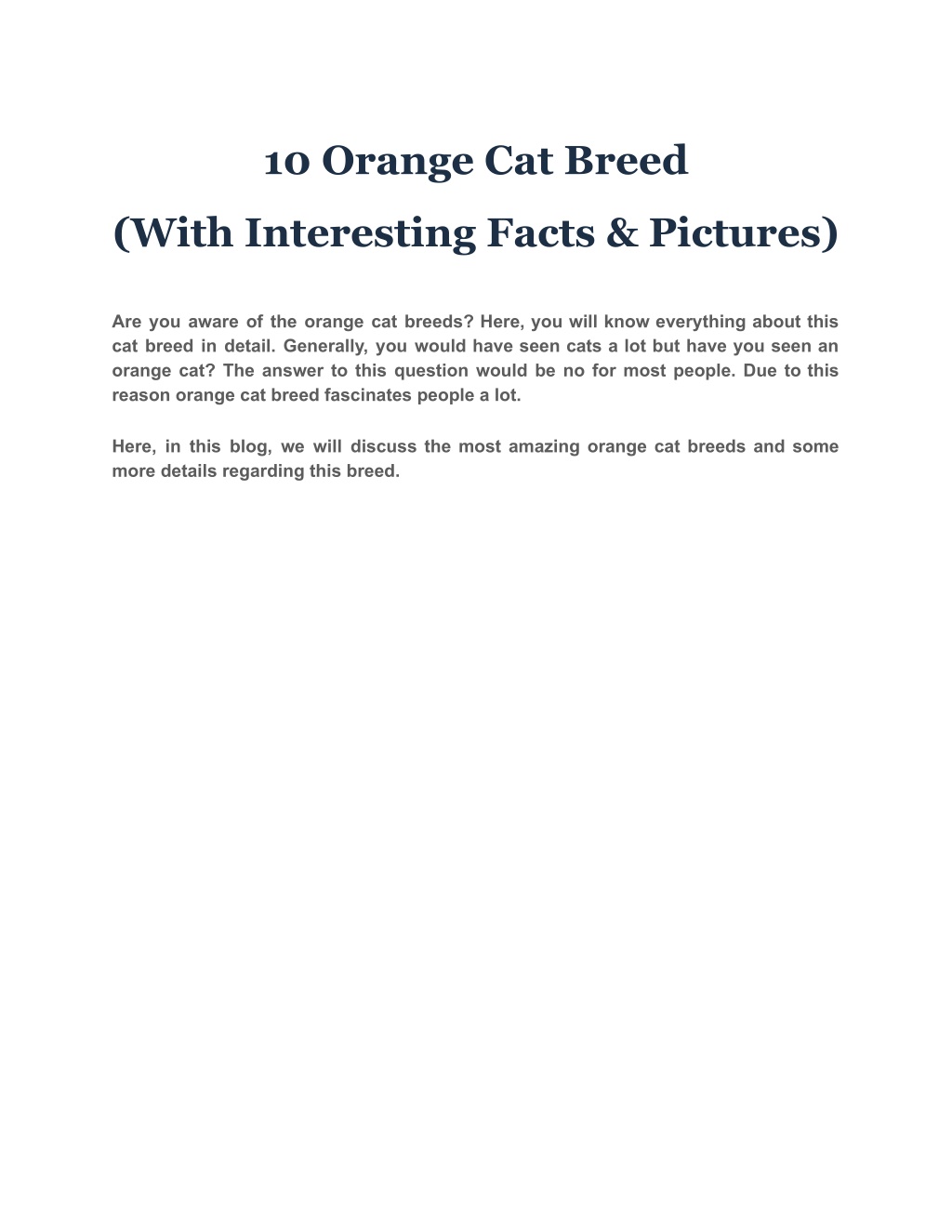 PPT - 10 Orange Cat Breed (With Interesting Facts & Pictures ...