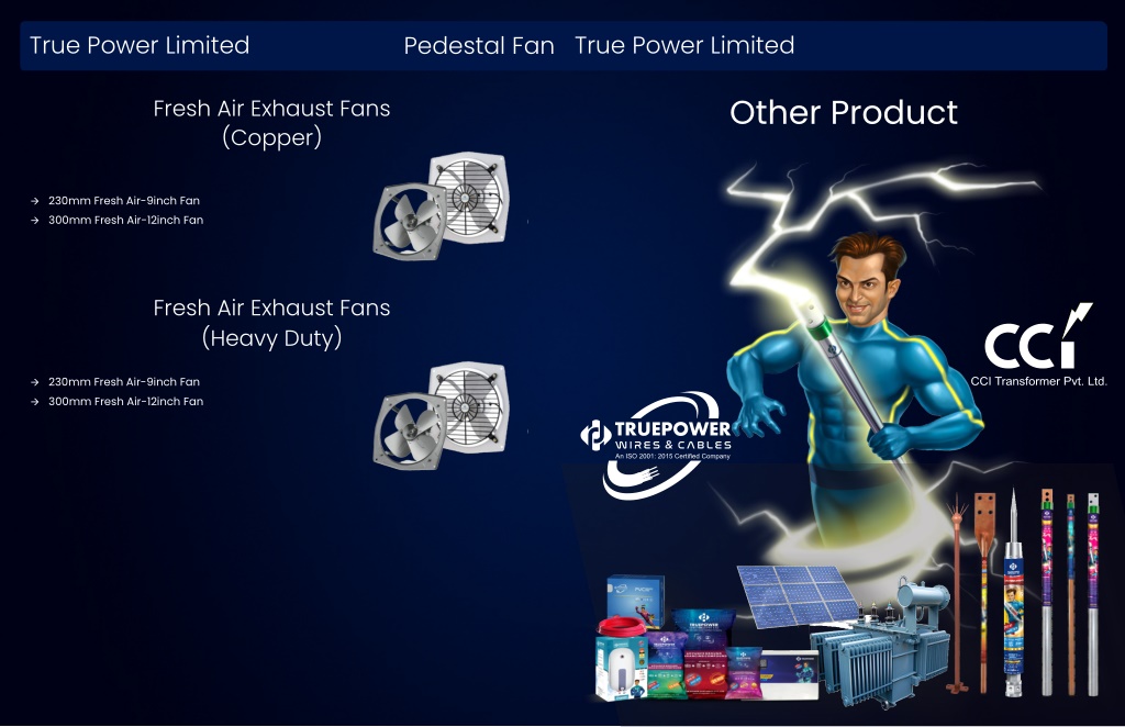 PPT - True Power Ltd. The Pioneers Of Earthing PowerPoint Presentation ...