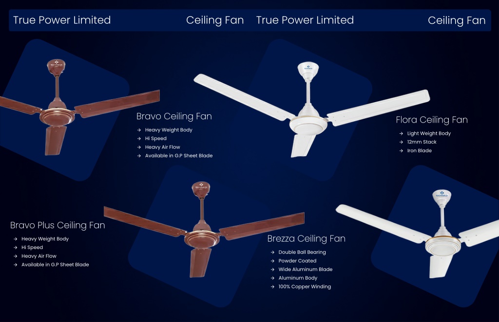 PPT - True Power Ltd. The Pioneers Of Earthing PowerPoint Presentation ...