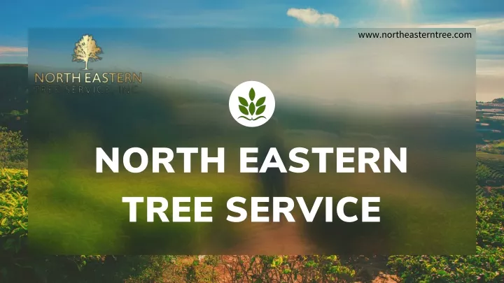 PPT - Three Generations of Expert Arborists by North Eastern Tree ...