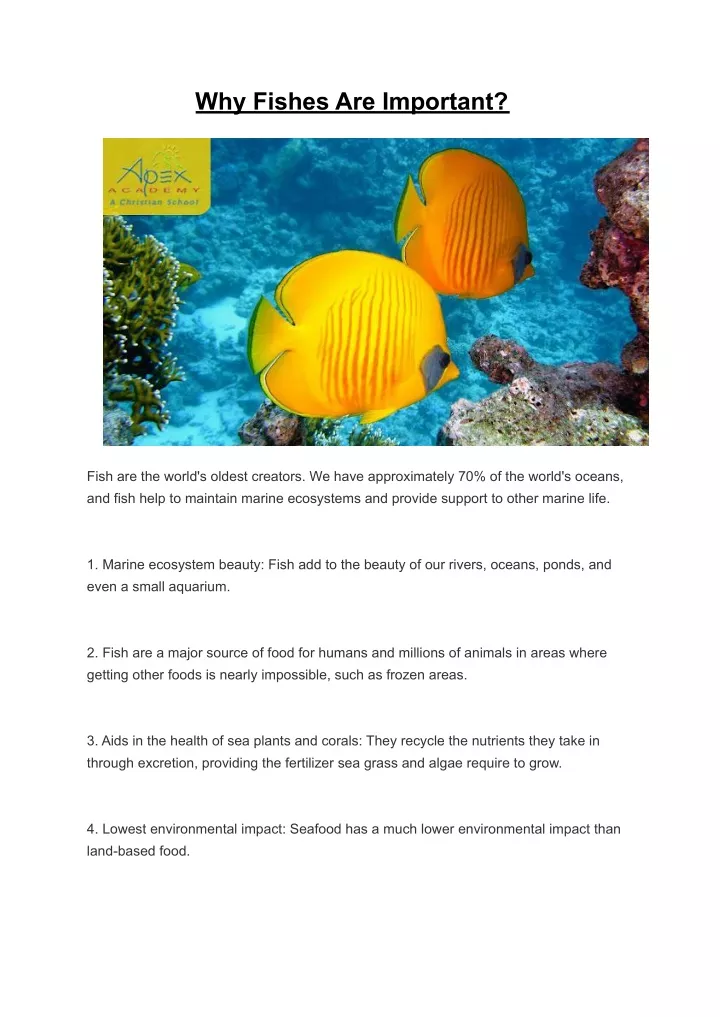 PPT - Why Fishes Are Important? PowerPoint Presentation, free download ...