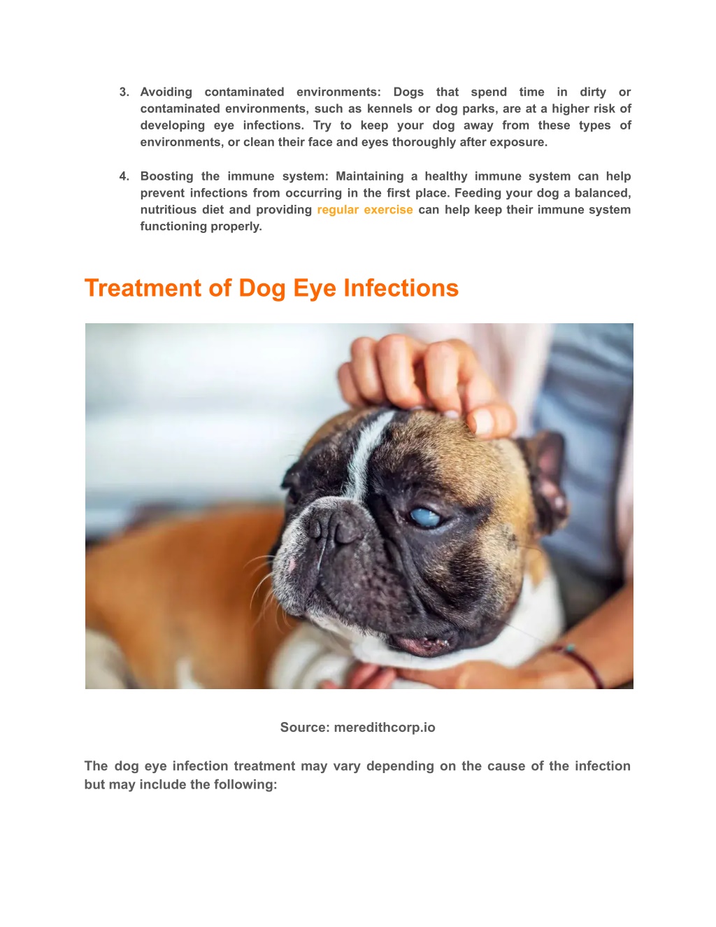 PPT - Dog Eye Infection: Prevention, Treatment and Causes PowerPoint ...