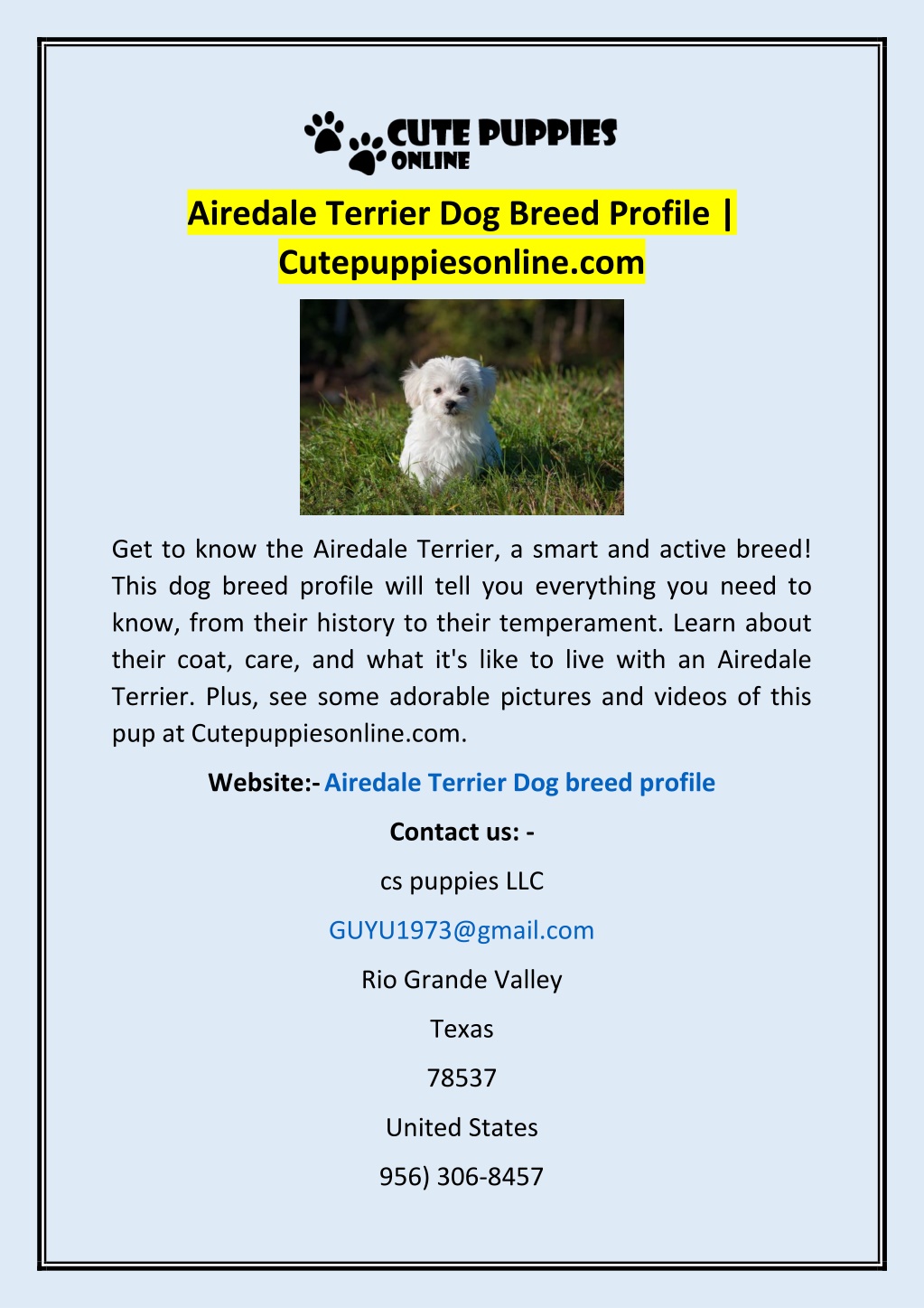 PPT - Airedale Terrier Dog Breed Profile | Cutepuppiesonline.com ...