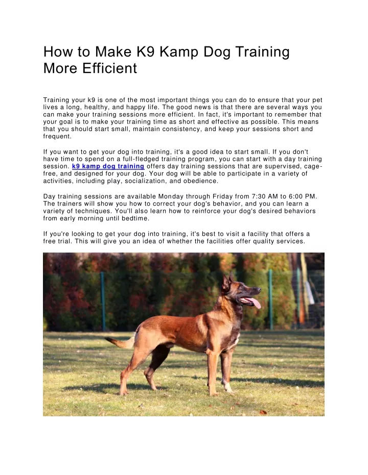 PPT - How to Make K9 Kamp Dog Training More Efficient PowerPoint Presentation - ID:11984345
