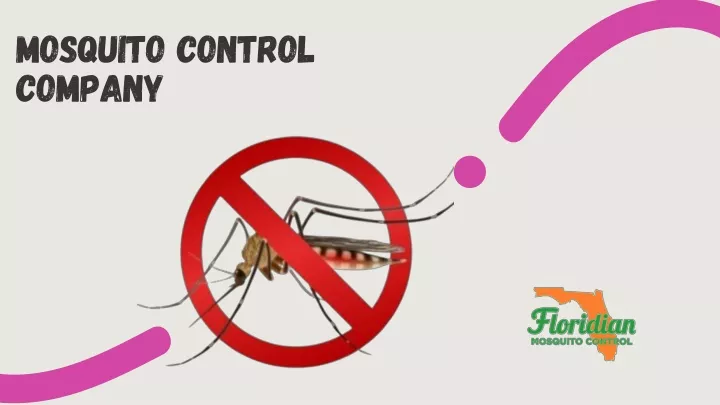 PPT - Hire a Reliable Mosquito control company PowerPoint Presentation ...