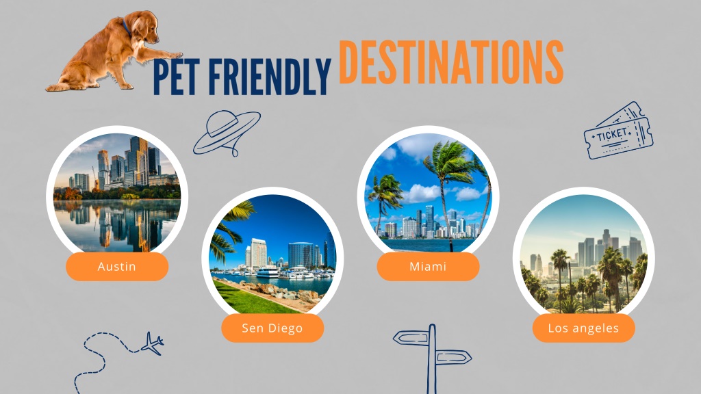 PPT - Airlines Pet Travel Policy PowerPoint Presentation, free download ...