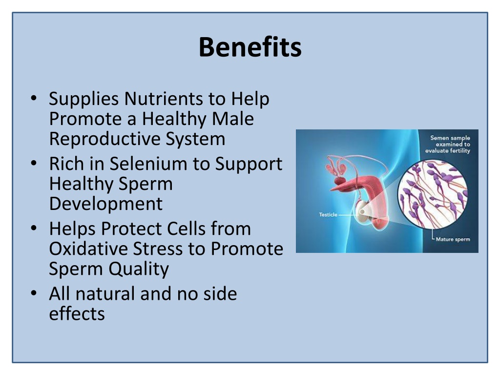 PPT - Promote Male Reproductive Health for Fertility PowerPoint ...