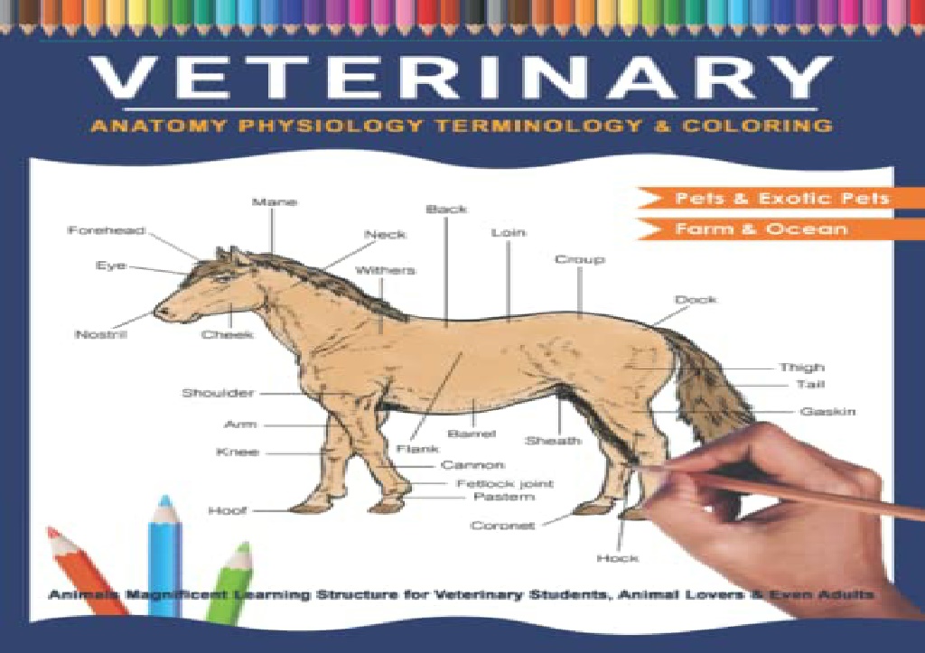 PPT - (PDF) Veterinary Anatomy Physiology Terminology & Coloring ...