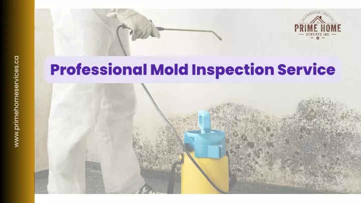 PPT - Professional Mold Inspection Service: Protecting Your Property ...