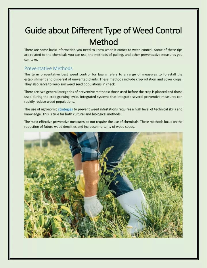 PPT - Guide about Different Type of Weed Control Method PowerPoint ...