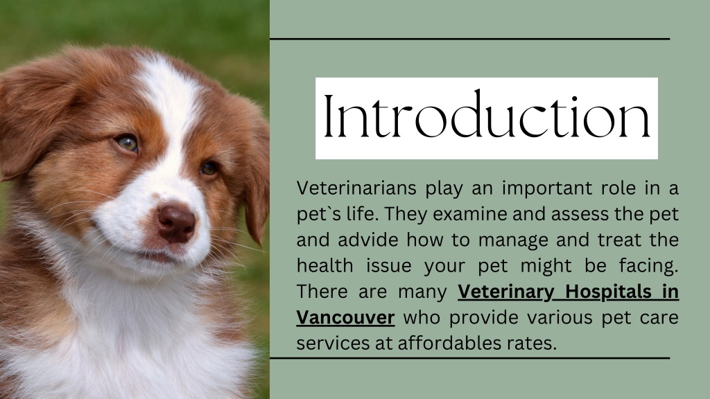 PPT - Things to Expect From a Veterinary Hospital Visit PowerPoint ...