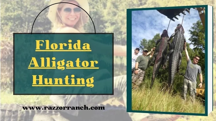 PPT - Florida Alligator Hunting: A Thrilling Experience You Won't ...