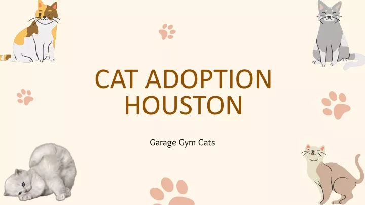 PPT - Cat Adoption Houston - Garage Gym Cats PowerPoint Presentation ...