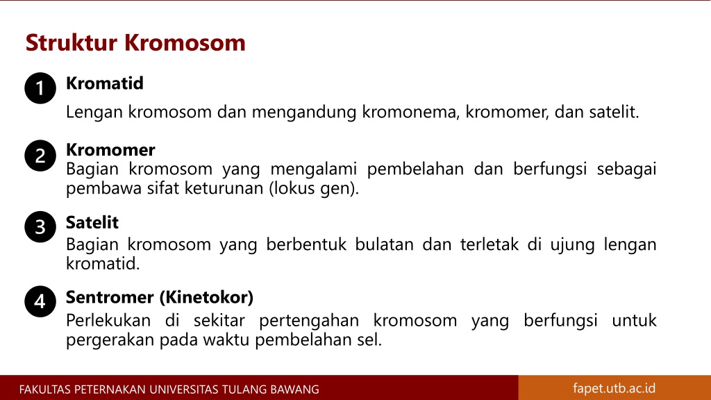 PPT - Materi Genetik Kromosom, Gen, DNA, dan RNA - Materi Genetika ...