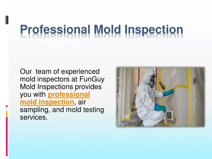 PPT - Professional Mold Inspection PowerPoint Presentation, free ...