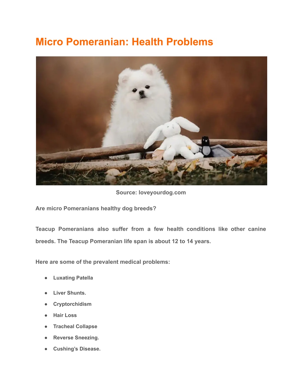 PPT - Teacup Pomeranian Dog Breed History, Facts, Costs, Size ...